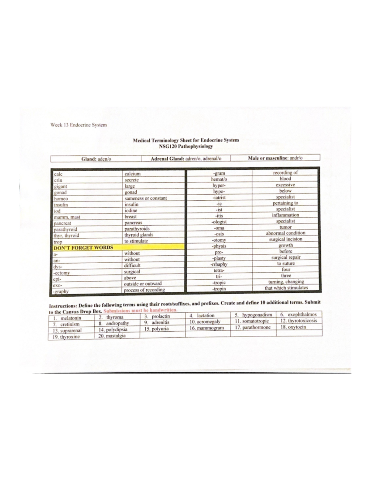 Week 13 Endocrine System - Week 13 Endocrine System Medical Terminology ...