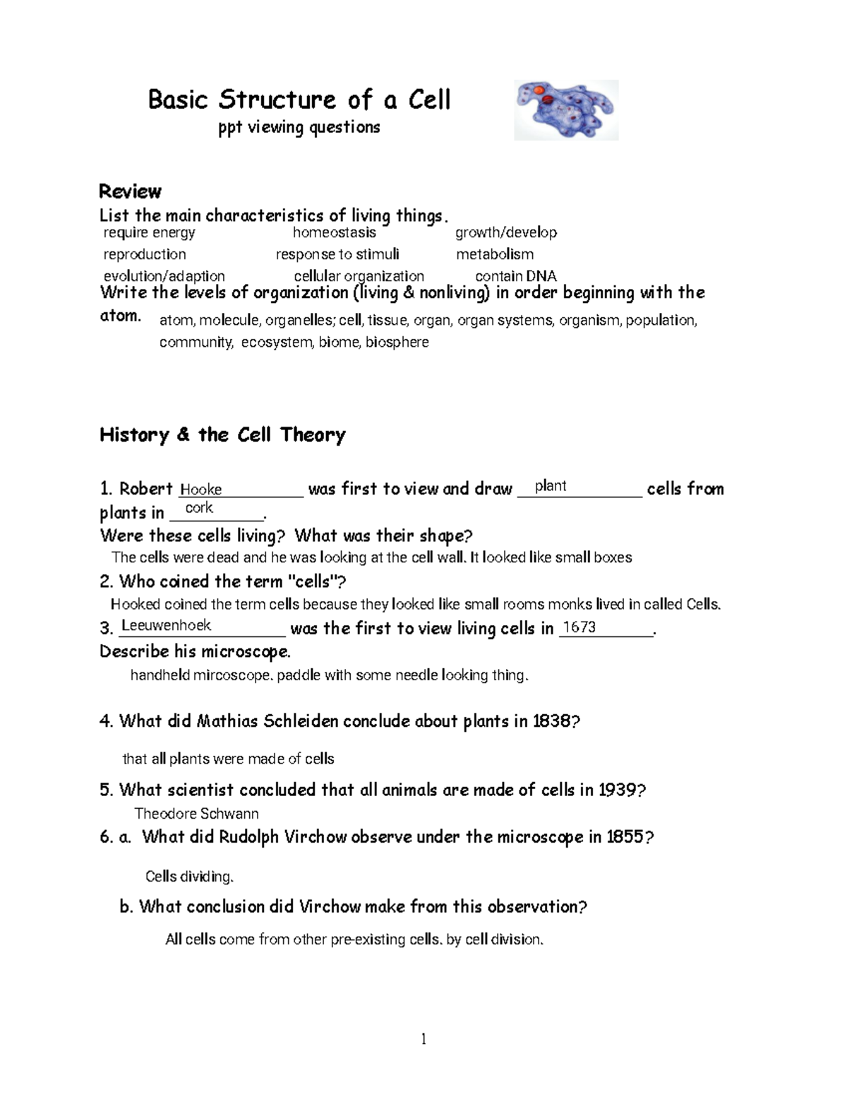 Cell Structure and Function Study Guide (Biology 101) - Basic Structure ...