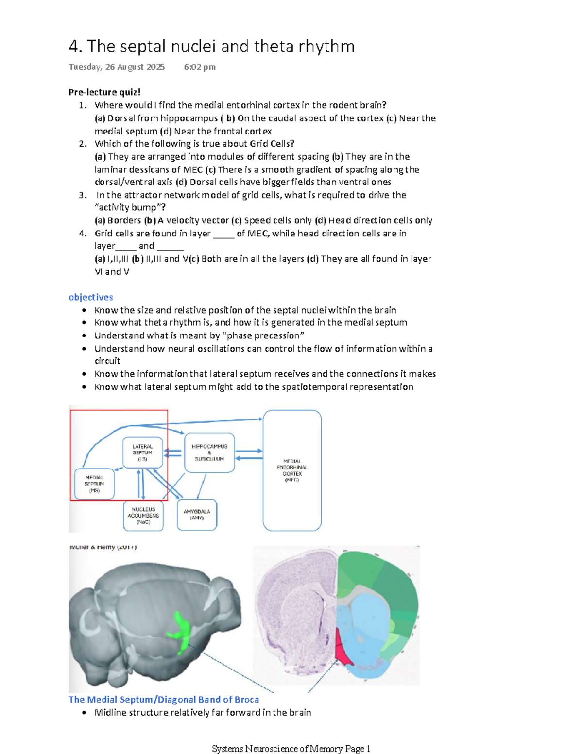 Systems Neuroscience Lecture 4: Septal Nuclei & Theta Rhythm Quiz - Studocu