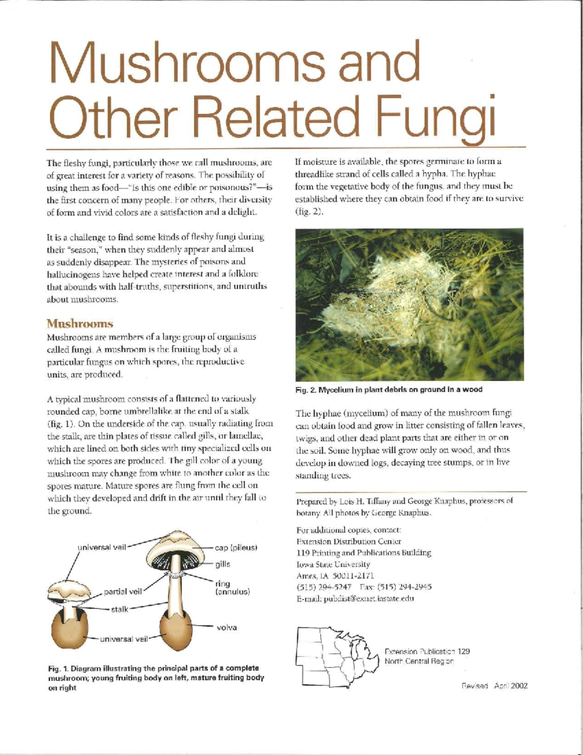 Mushrooms and Other Related Fungi: A Comprehensive Guide (EP129NCR ...