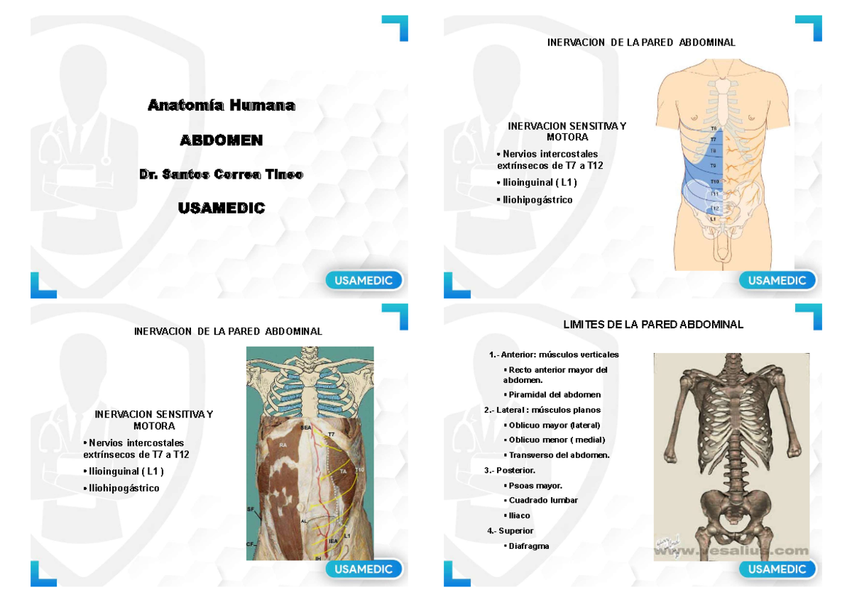 Anatomía 6 Resumen Anatomia Anatomía Humana Abdomen Dr Santos