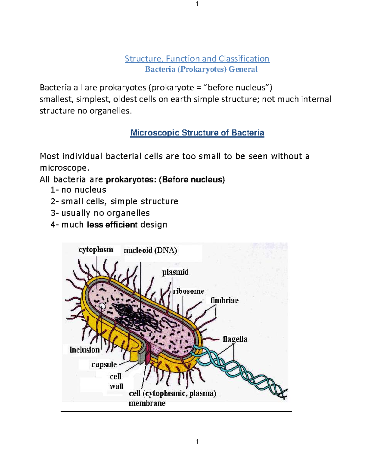 Microbiology L2 Basic structure of bacteria - Structure, Function and ...