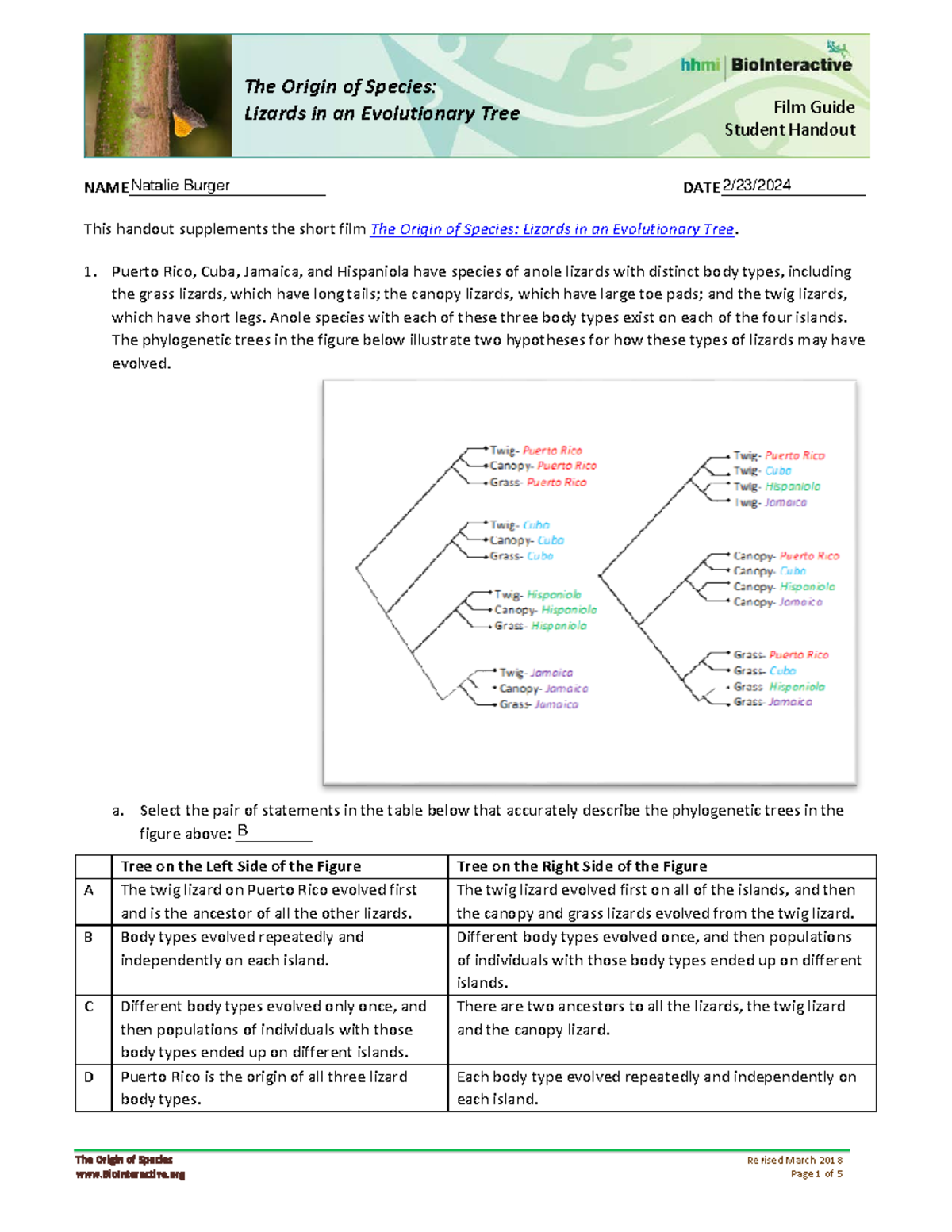 Evolutionary Insights: Lizards in an Evolutionary Tree (Bio 101) - Studocu