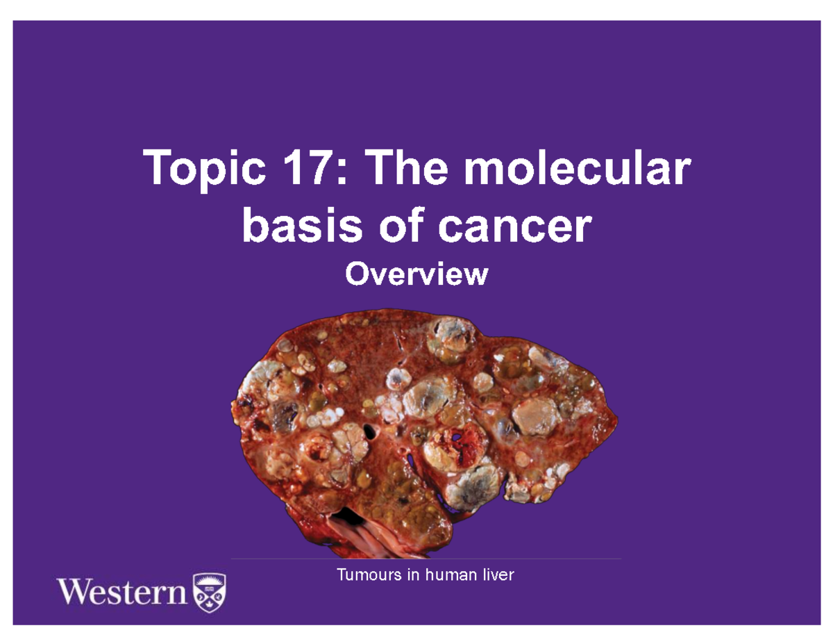 Topic 17: Molecular Basis of Cancer - Overview and Causes - Studocu