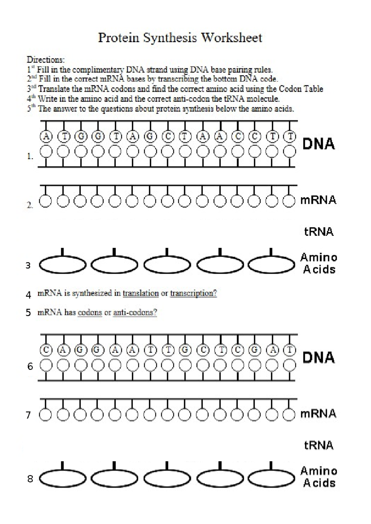 Protein Synthesis Worksheet: Step-by-Step Guide on DNA to Protein - Studocu