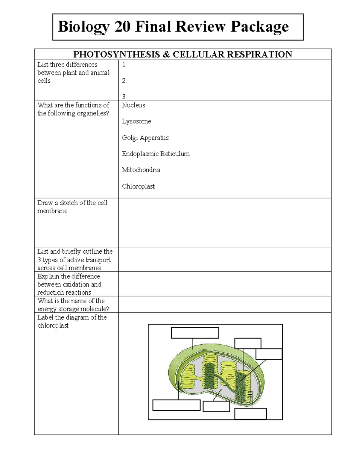 Biology 20 Final Review Package: Photosynthesis & Cellular Respiration ...