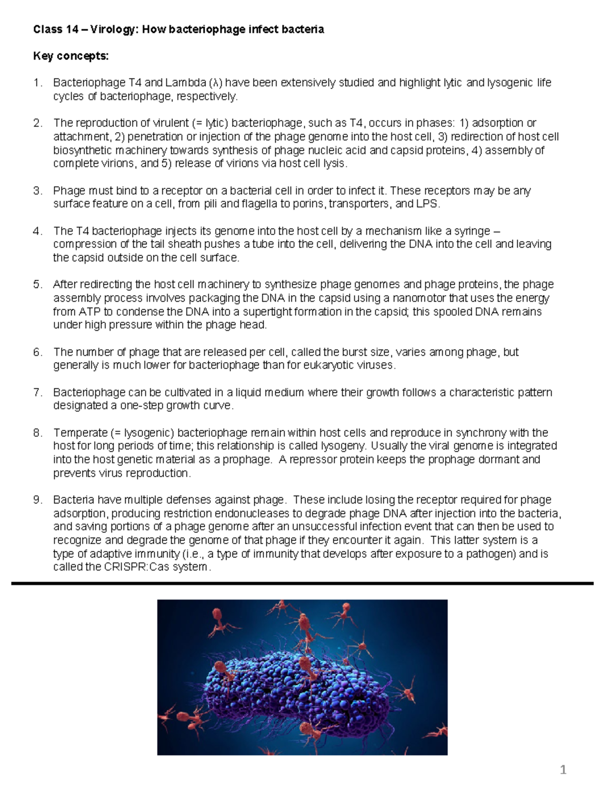 Virology Lecture 14: Infection Mechanisms of Bacteriophages T4 & λ ...