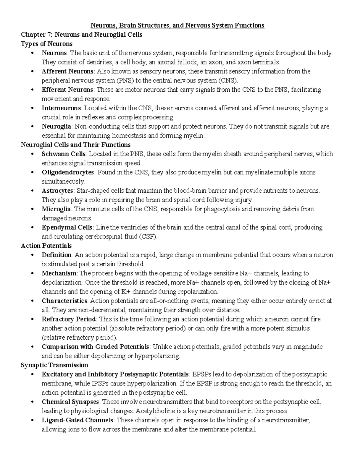 Human Physiology Exam 2 Quizlet Notes: Neurons & Nervous System - Studocu