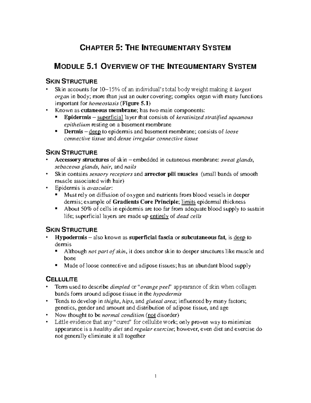 Chapter 5: The Integumentary System - Detailed Outline and Functions ...