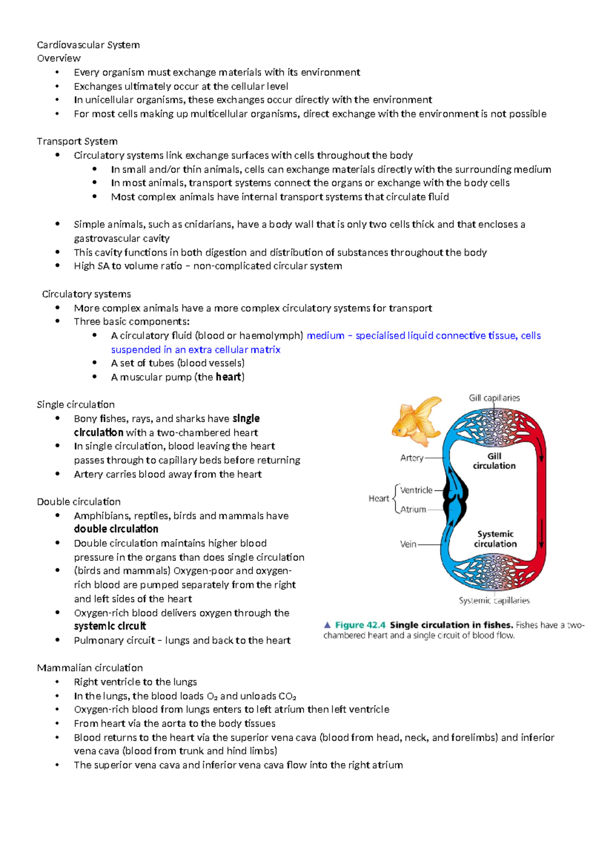 ANS102 Lecture 9: Overview of the Cardiovascular System - Studocu