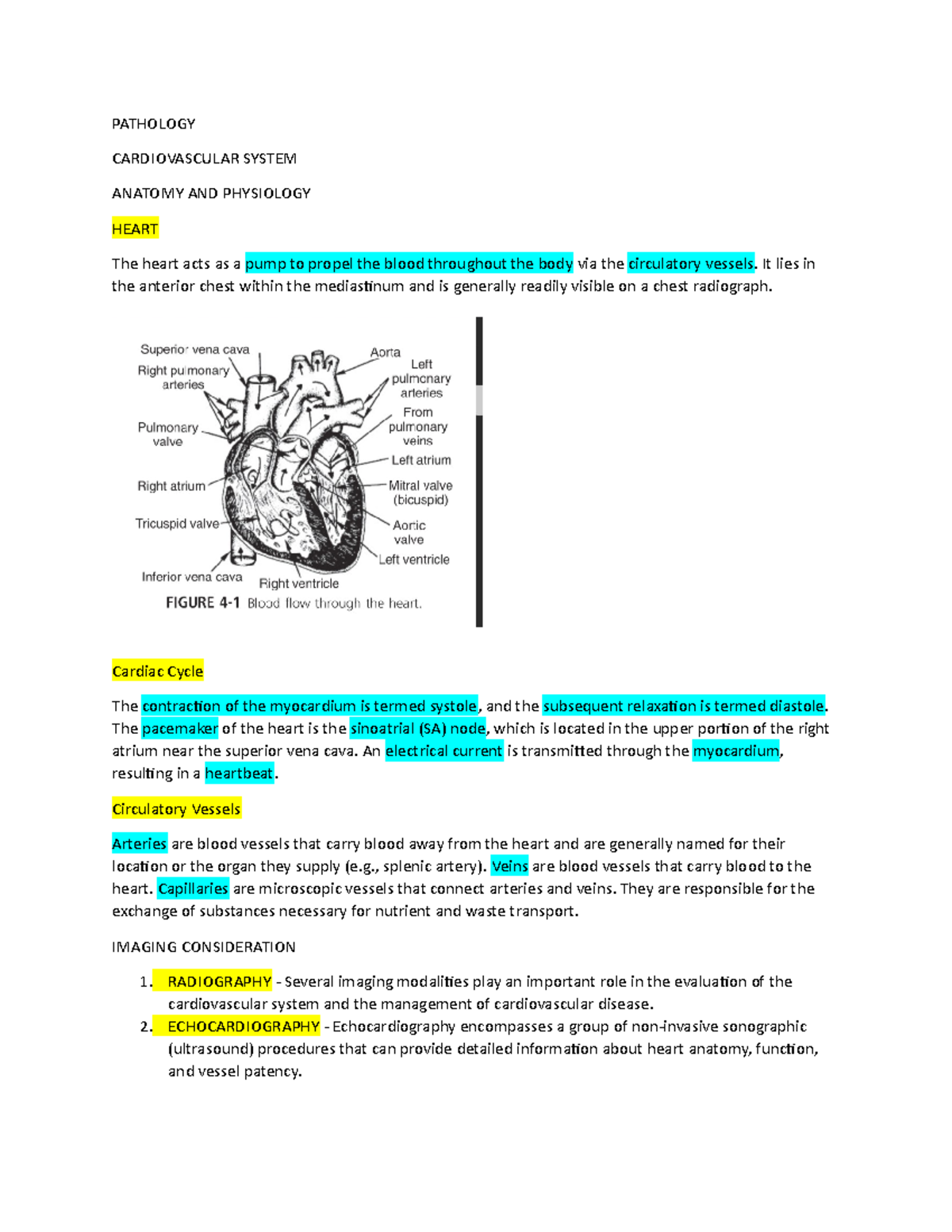 Pathology cardio - PATHOLOGY CARDIOVASCULAR SYSTEM ANATOMY AND ...