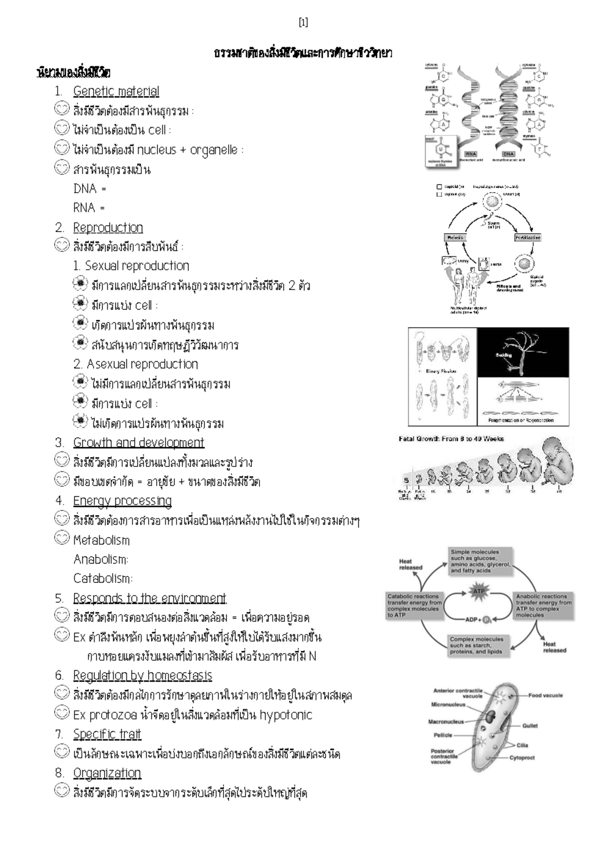 High School Biology Notes (Course Code: 4 60) - Comprehensive Study ...