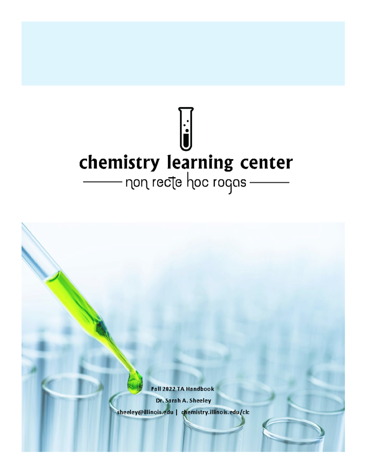 CLC TA Handbook F2022 - Hanbook for TA - Fall 2022 TA Handbook Dr ...