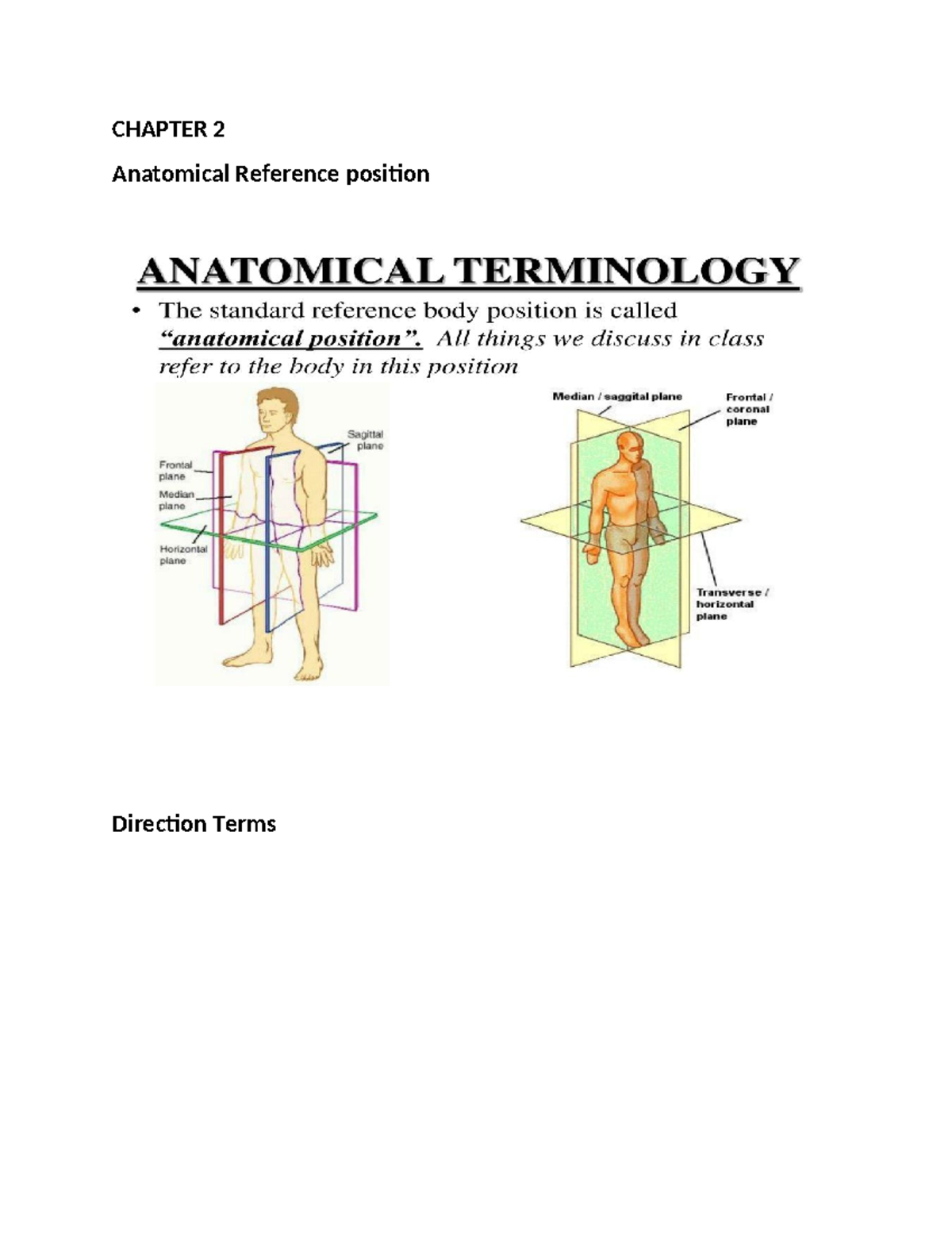 Chapter 2 Module - CHAPTER 2 Anatomical Reference position Direction ...