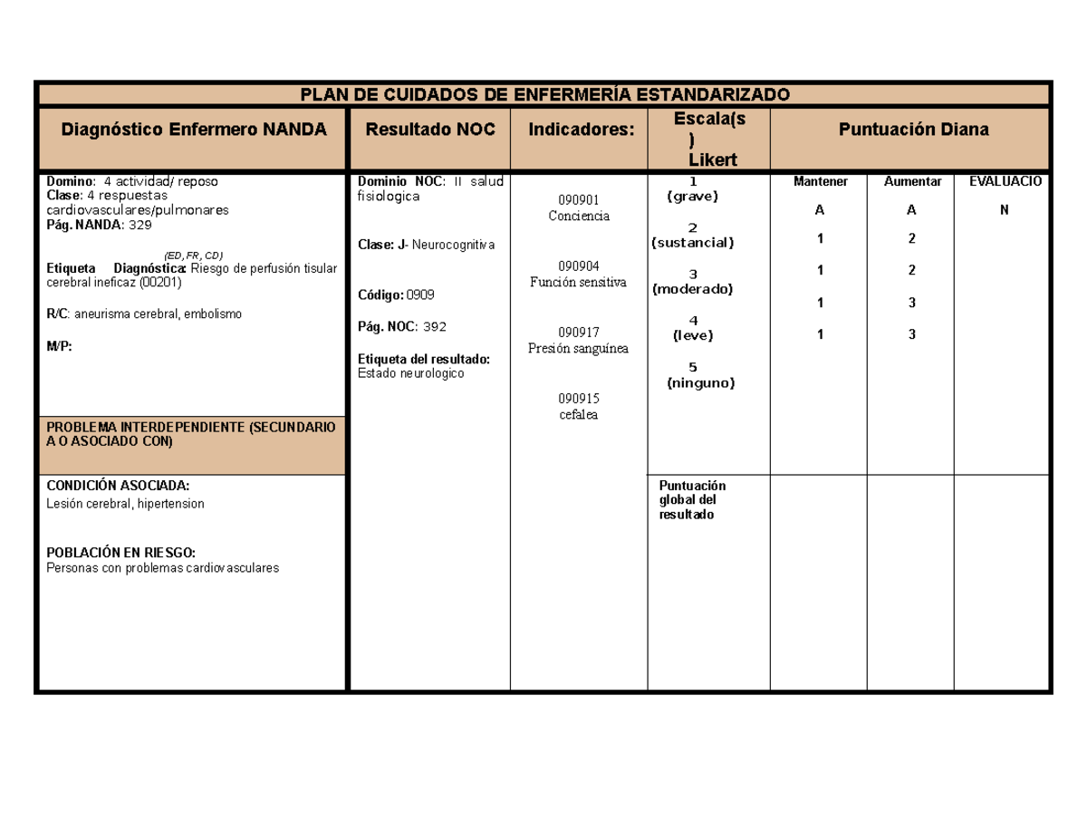 PLAN DE CUIDADOS DE ENFERMERÍA NANDA: Riesgo de Perfusión Cerebral ...