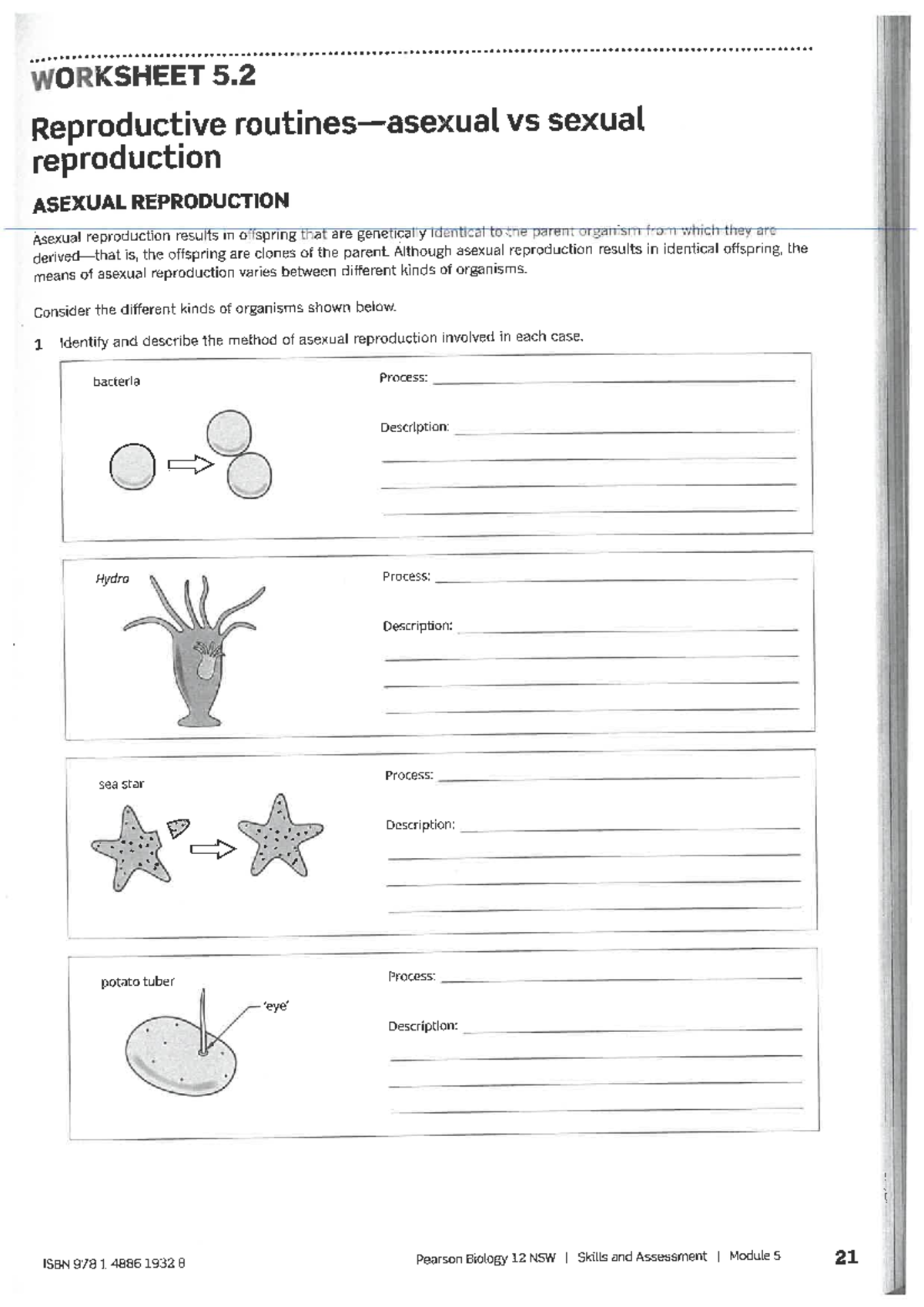 WS 5.2 - Asexual vs Sexual Reproduction Overview - Studocu