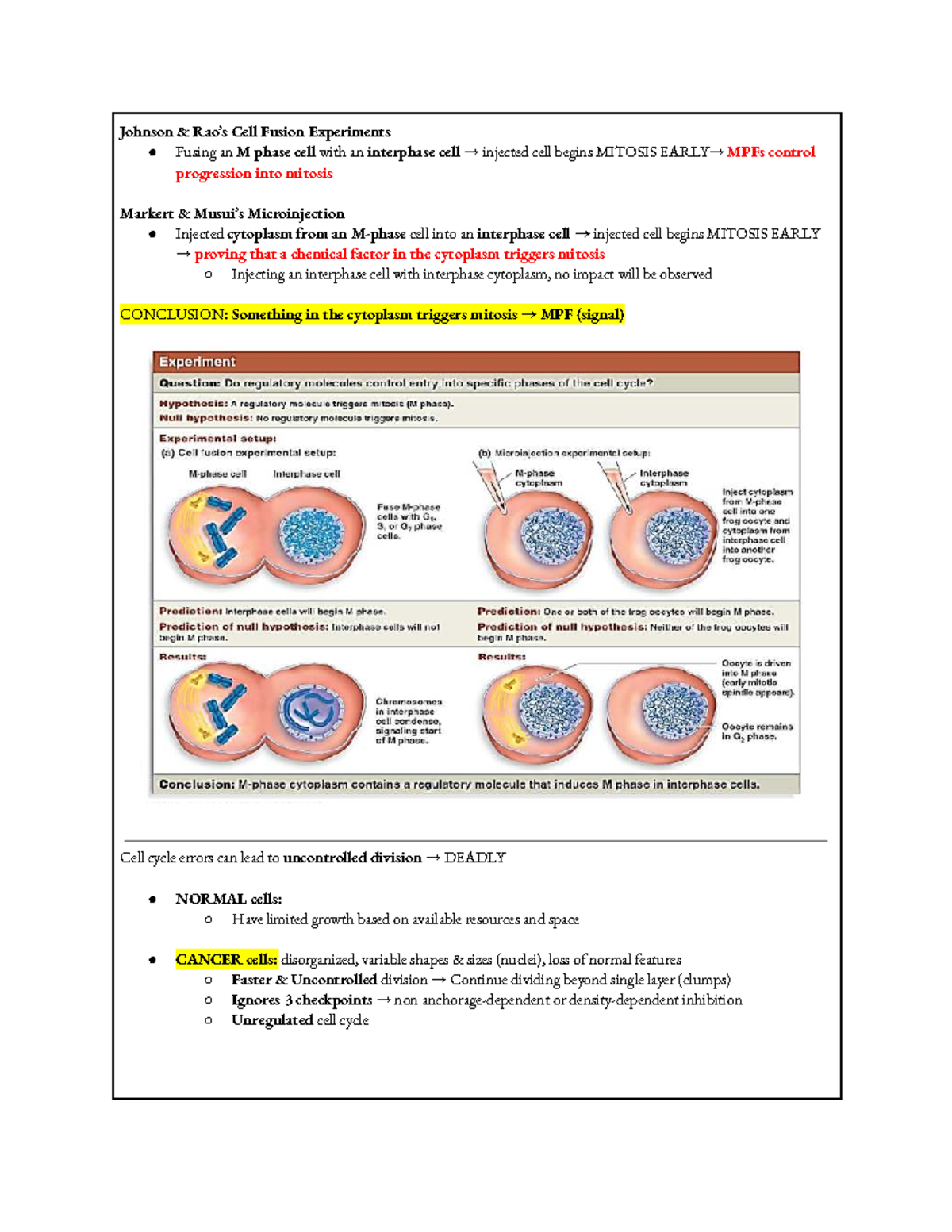 Lec 3 - app lec3 - Johnson & Rao’s Cell Fusion Experiments Fusing an M ...