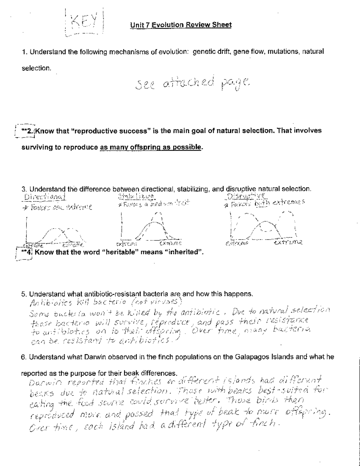 Unit 7 Evolution Review Sheet: Mechanisms of Evolution Explained - Studocu