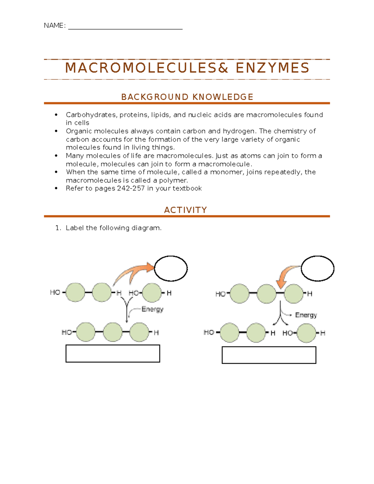 Macromolecules: Carbs, Lipids, Proteins & Enzymes - Study Guide - Studocu