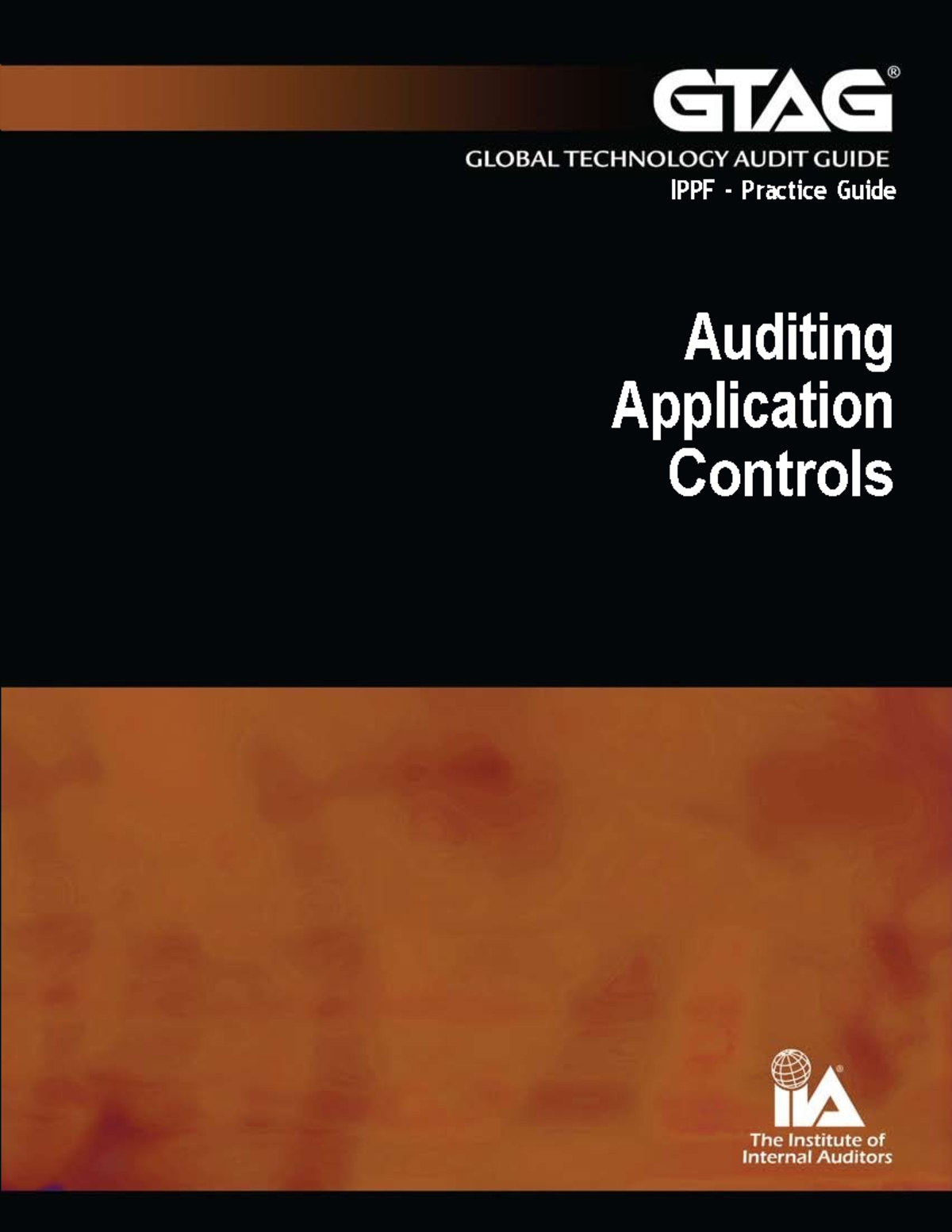 Application Audit Controls - IPPF – Practice Guide Auditing Application ...