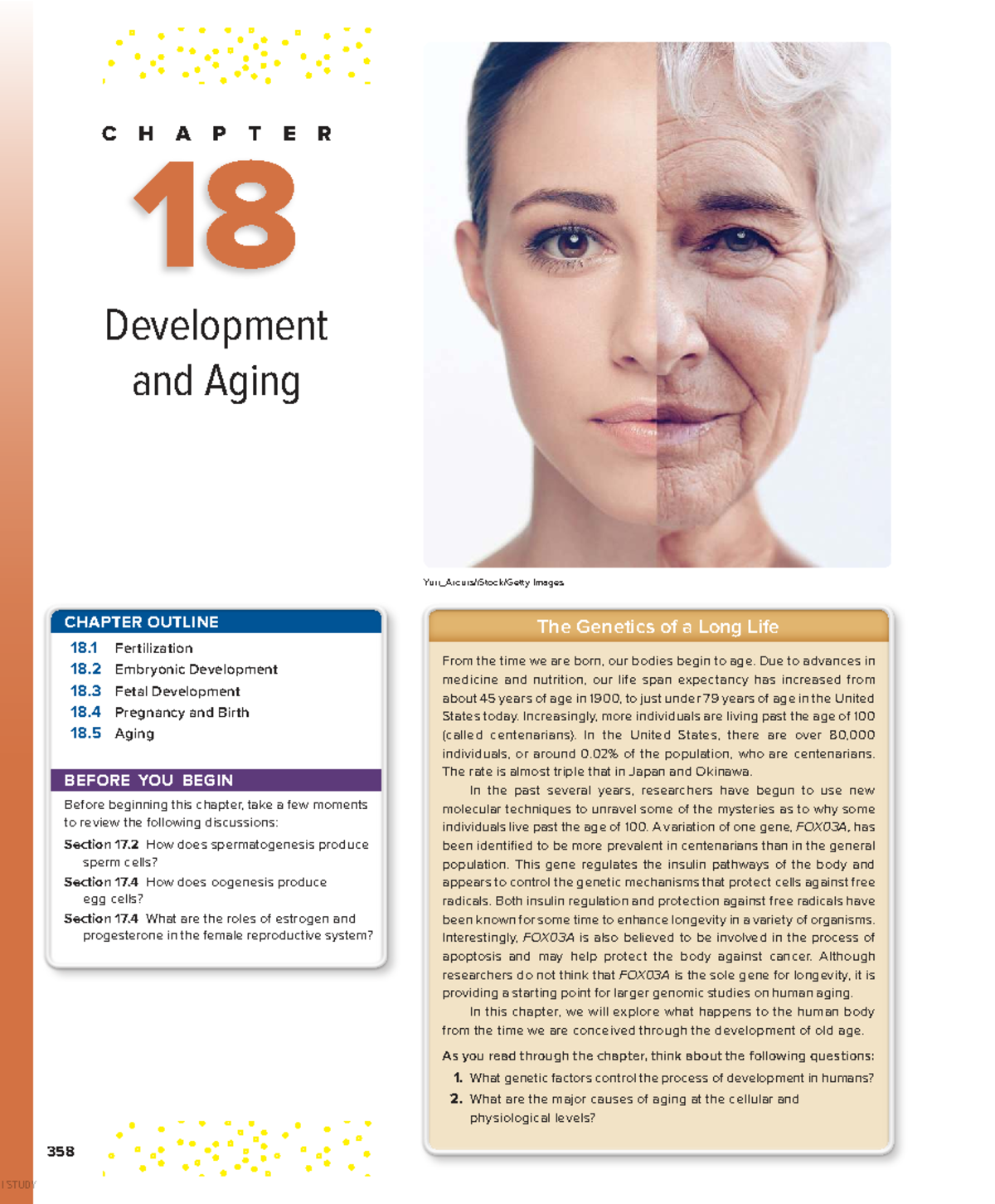 ISTUDY CHAPTER 18: Development and Aging Overview - Studocu
