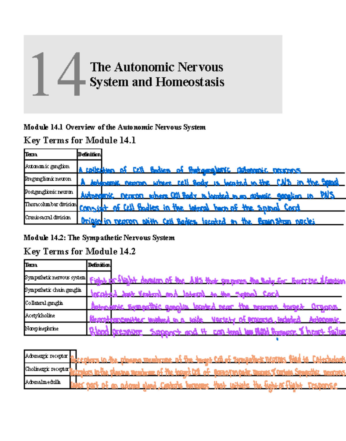Chapter 14 Autonomic Nervous System - 14 The Autonomic Nervous System ...