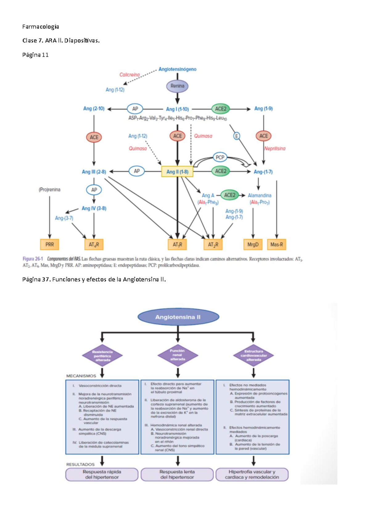 ARA II diapositivas - ARA II etc - Farmacologia I - Farmacología Clase ...
