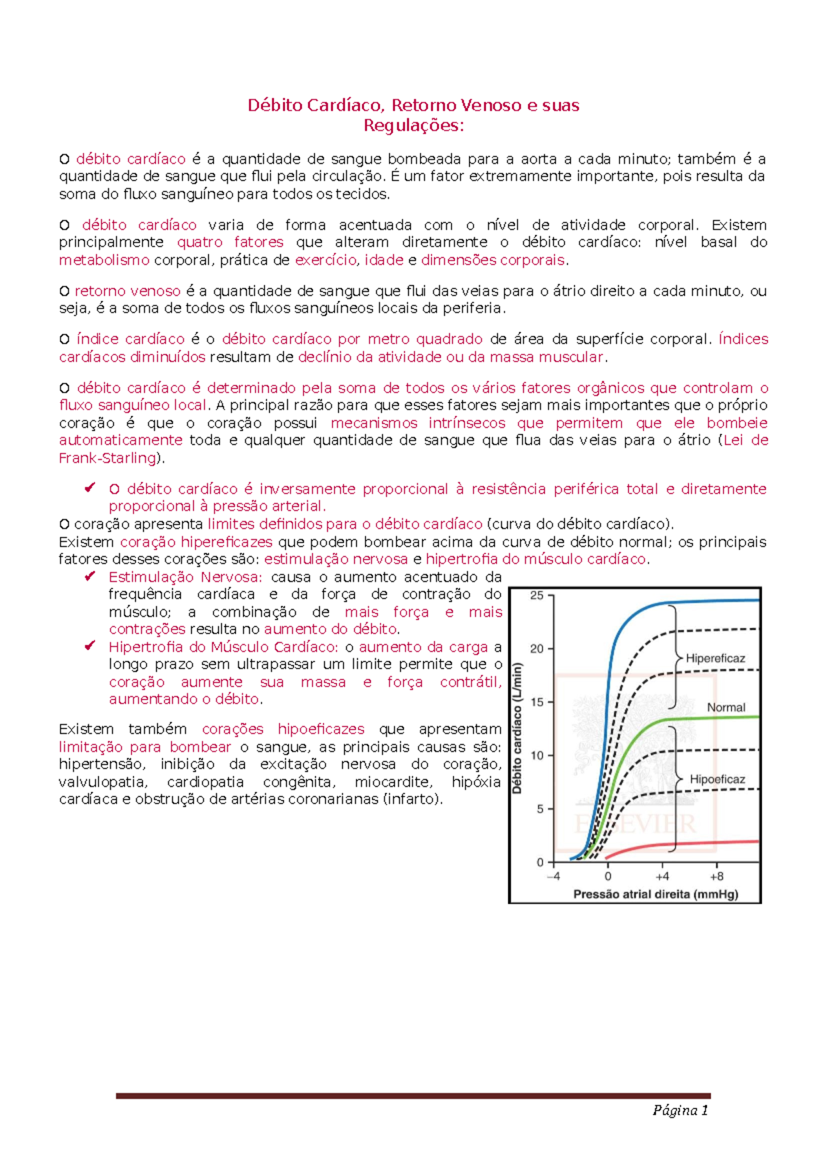 Fisiologia Humana - Cardiovascular: Débito Cardíaco e Retorno Venoso ...