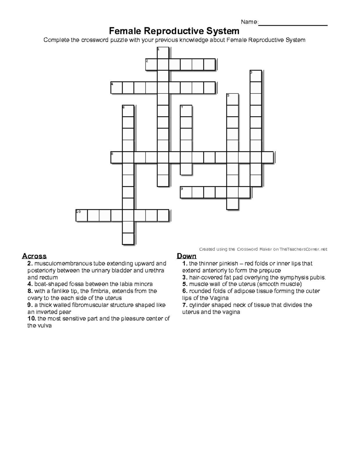 Female Reproductive System Crossword Puzzle Activity - Studocu