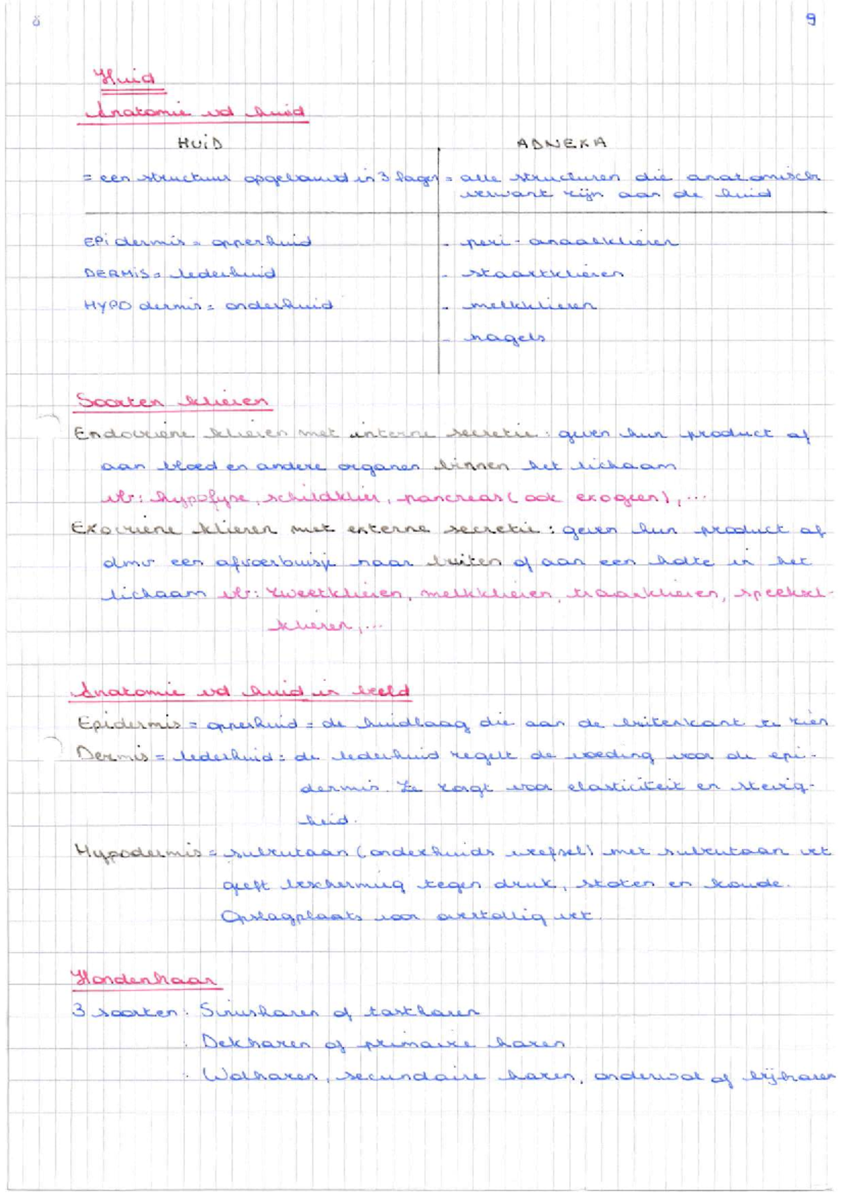 ANATOMIE VAN DE HUID - HOND (BIOL 101) - Studocu