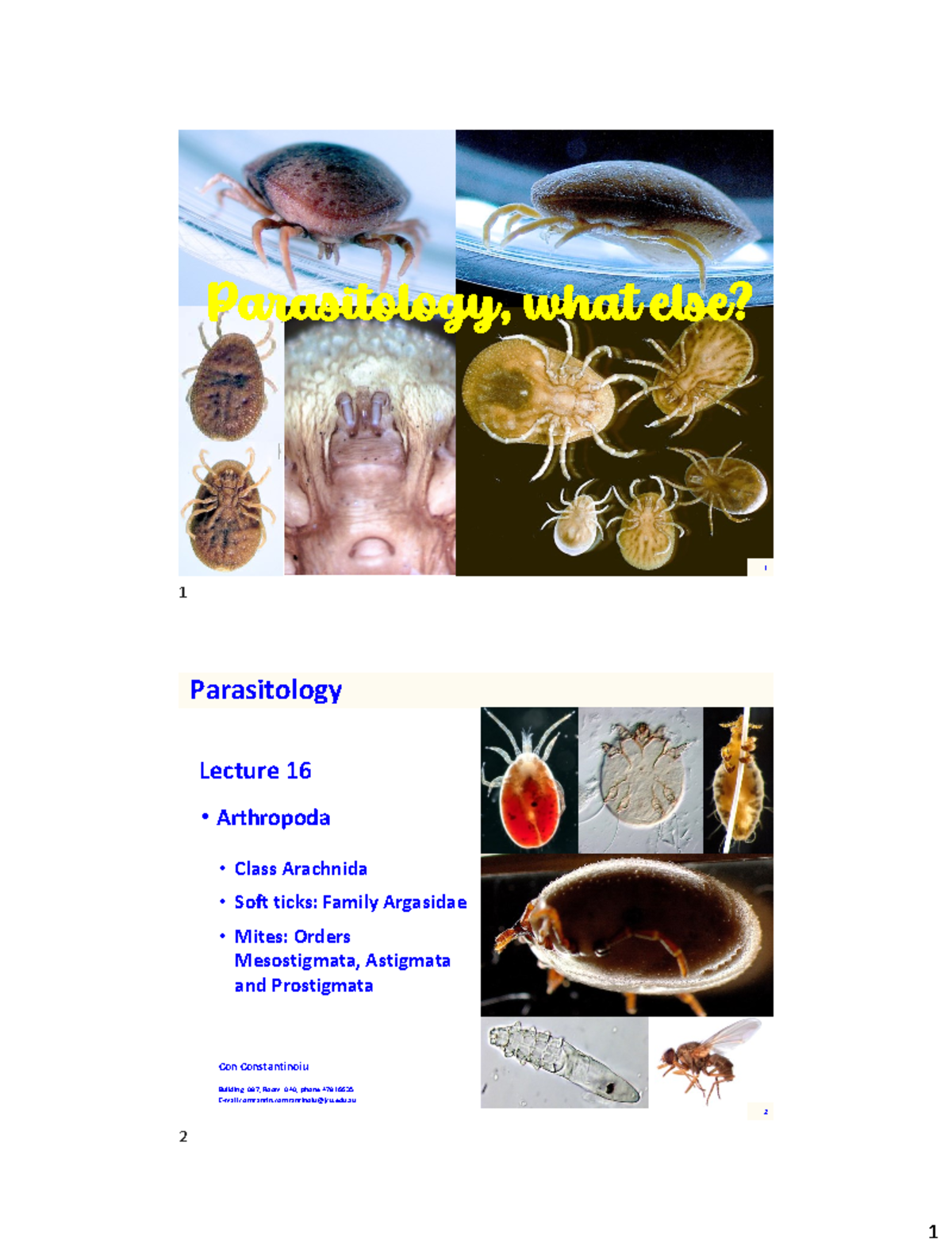 Parasitology Lecture 16: Mites of Order Astigmata - Classification ...