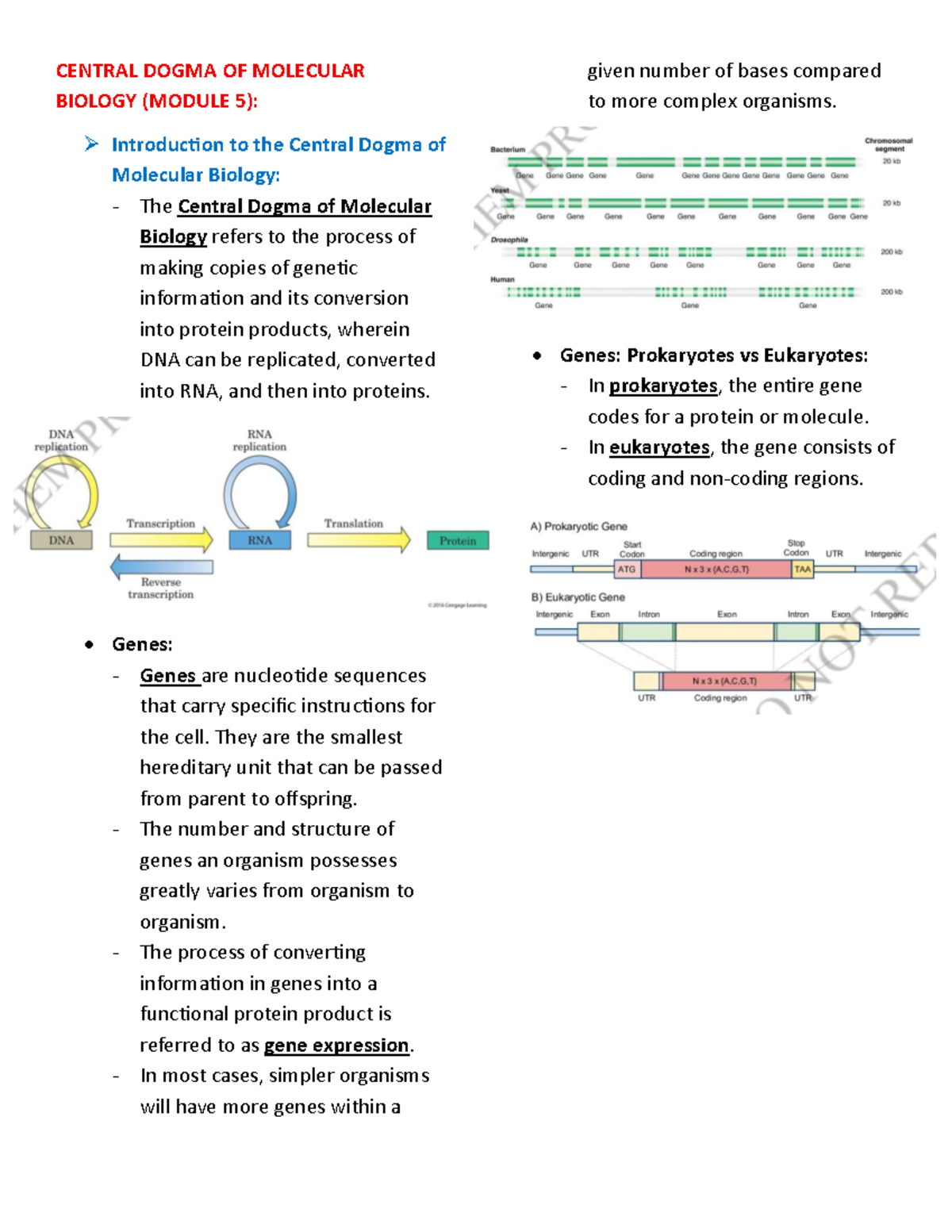 Central Dogma of Molecular Biology: Module 5 Overview - Studocu