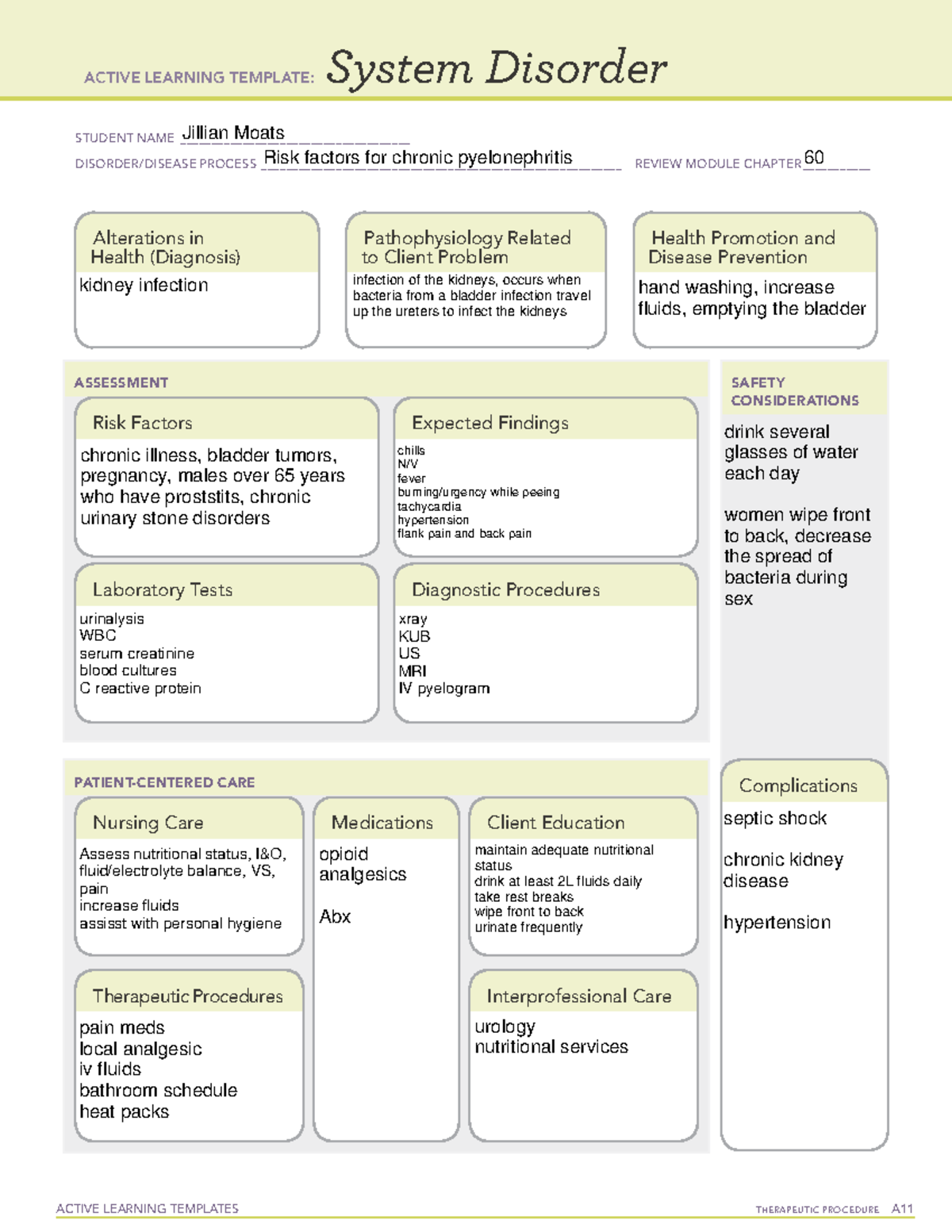 ATI Urinary System Disorder: Pyelonephritis Active Learning Template ...