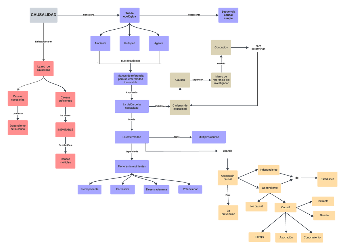 Causalidad en epidemiología mapa conceptual - CAUSALIDAD Triada ecológica La red de causalidad ...