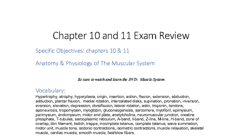 Anatomy & Physiology Exam Review: Chapters 10 & 11 Muscular System ...
