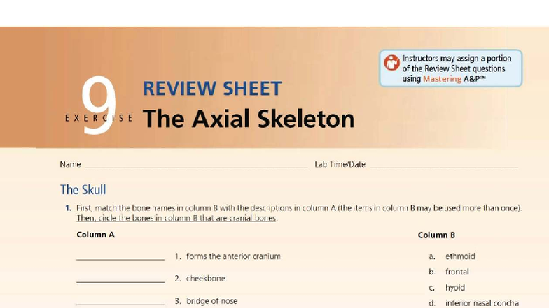 Exercise 9 - Anatomy Labs: Review Sheet on The Axial Skeleton - Studocu