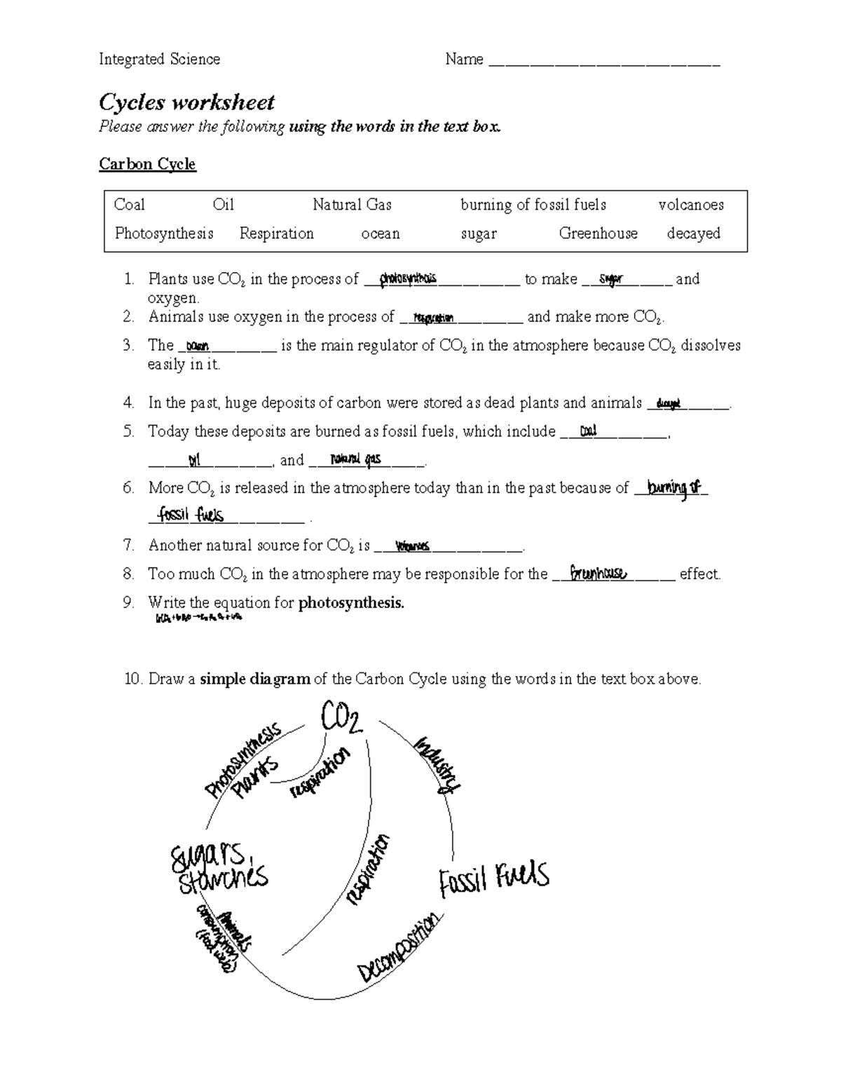 Integrated Science UCUZ Cycles Worksheet: Carbon, Oxygen, and Nitrogen ...