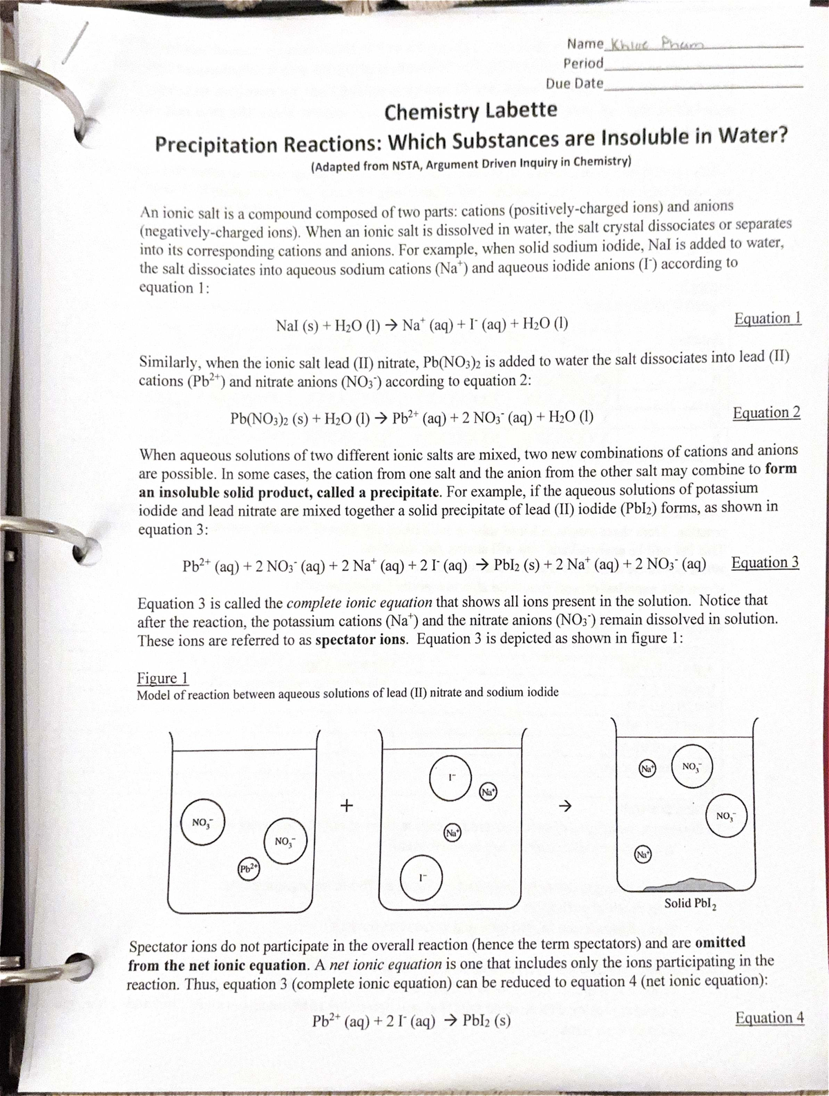 Chemistry Labette: Precipitation Reactions & Insoluble Salts Analysis ...