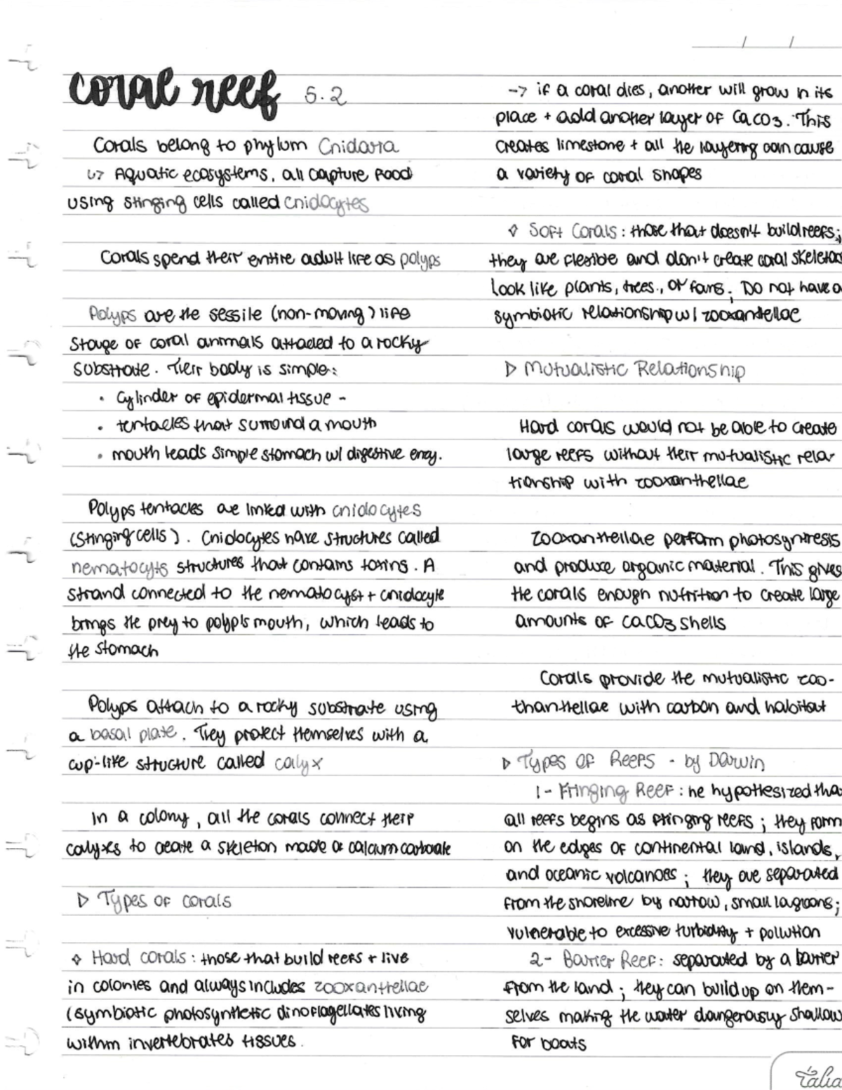 Coral Reef Notes - corae reef 5 if a coral dies, another will grow in ...