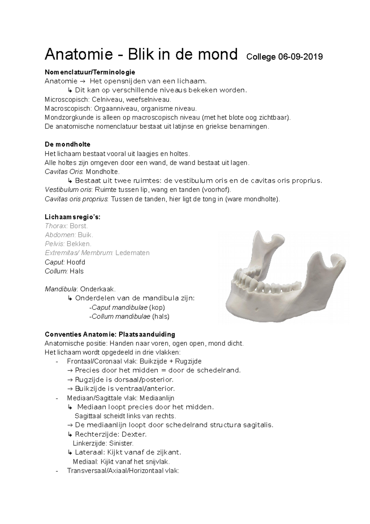 Anatomie Van Het Dak Van De Mond