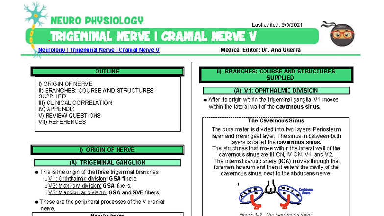 CN V - Trigeminal Nerve Anatomy & Physiology Overview - Studocu