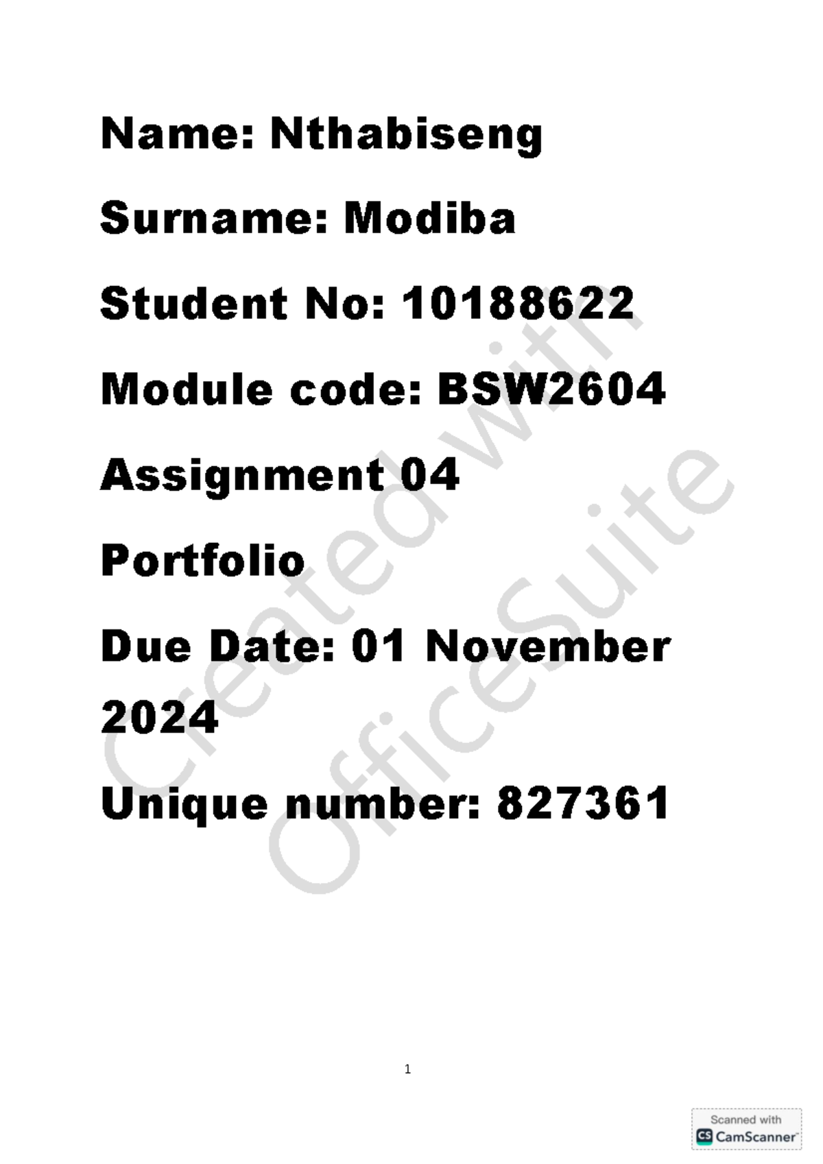 BSW2605 Assignment 04: Community Forum Project Portfolio - Studocu