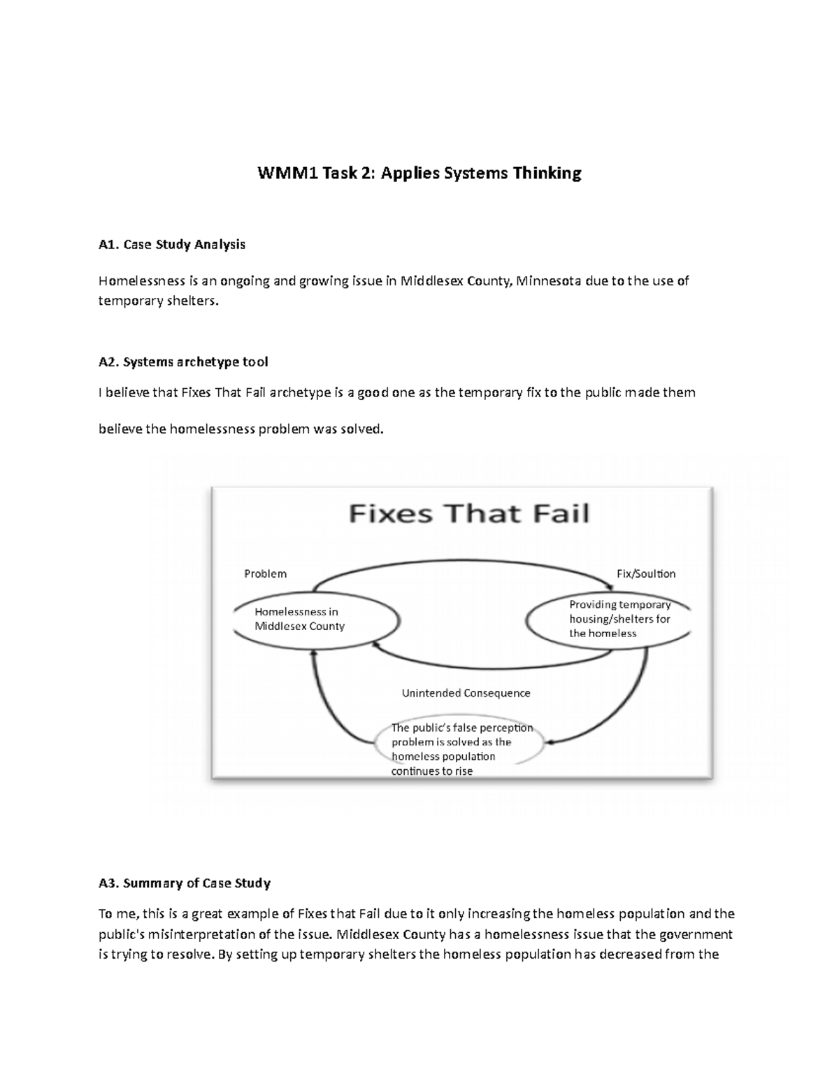 D372 Task 2 - passed - WMM1 Task 2: Applies Systems Thinking A1. Case ...