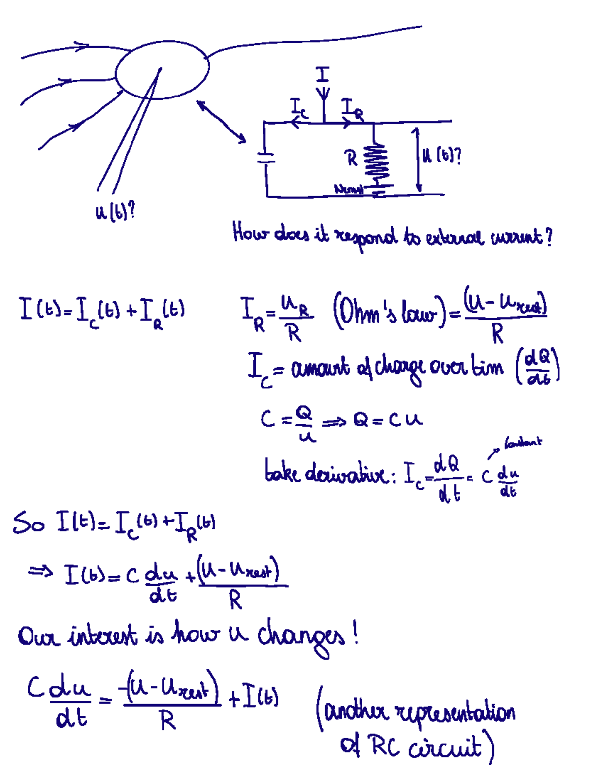 Models of Neuron: Understanding Current Response and Circuit Dynamics ...