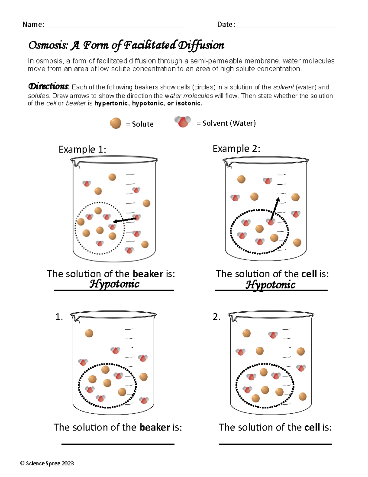 Osmosis Practice Worksheet: Hypotonic, Hypertonic, Isotonic Concepts ...