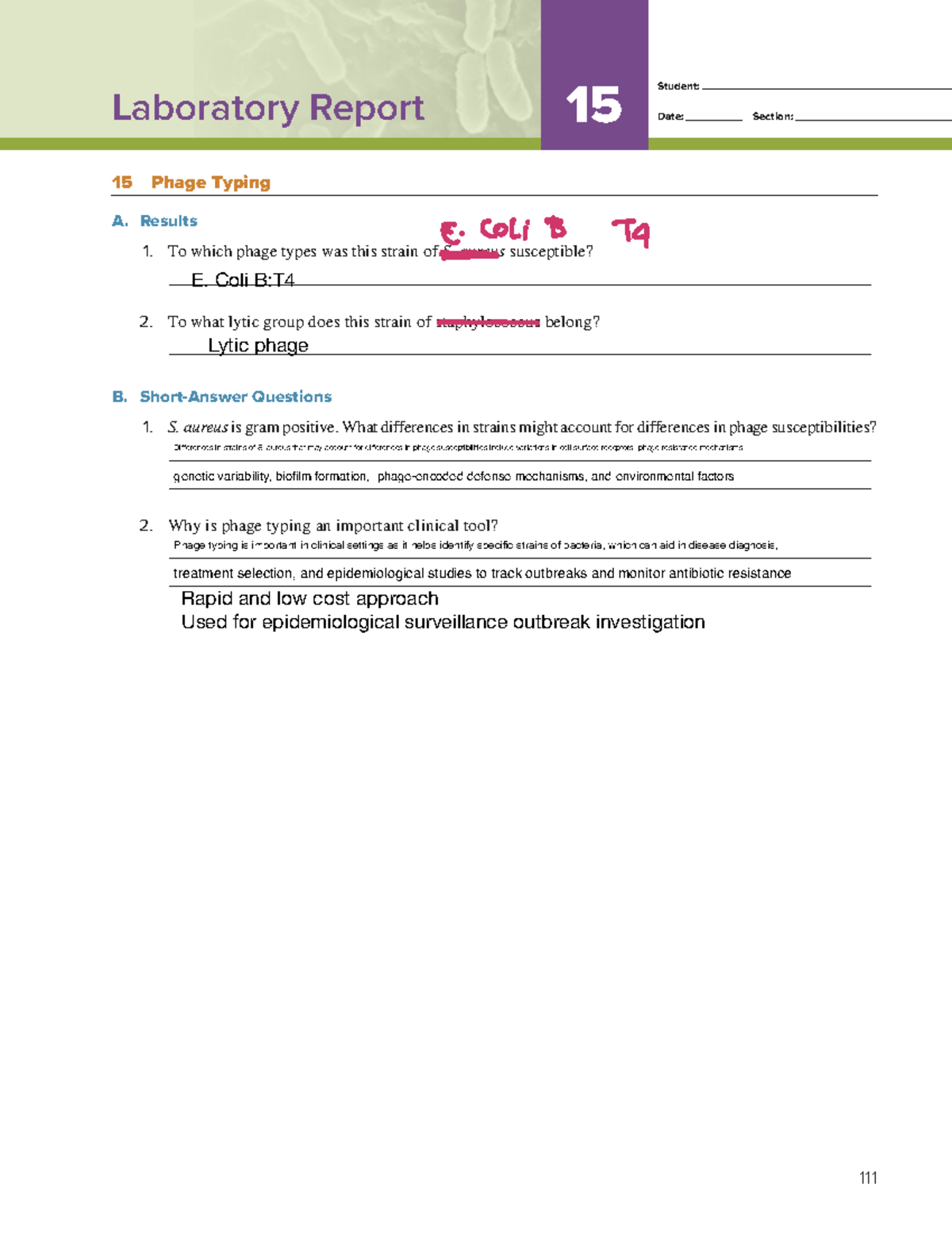 BIOL 111: Exercise 15 Lab Report on Phage Typing Results and Analysis ...