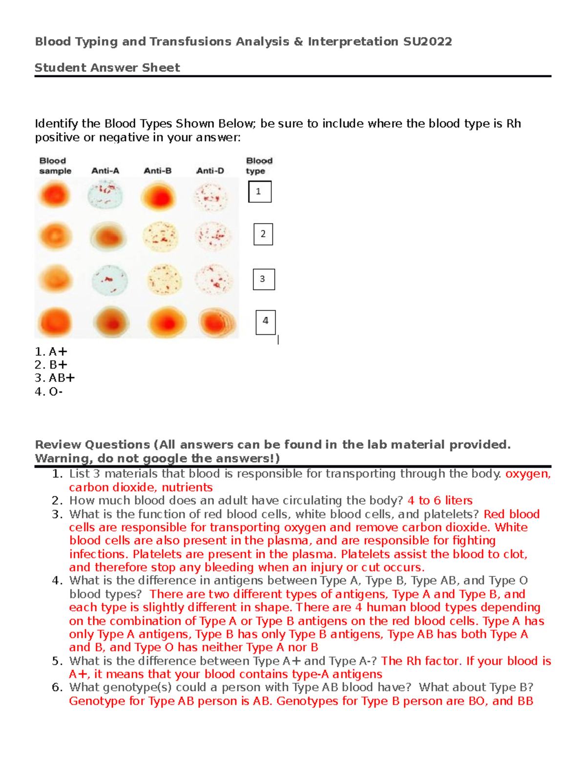 Blood Typing & Transfusions Analysis SU - Student Answer Sheet - Studocu