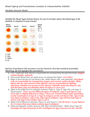 Heart Lab Anatomy Student Answer Sheet - The Cardiovascular System ...