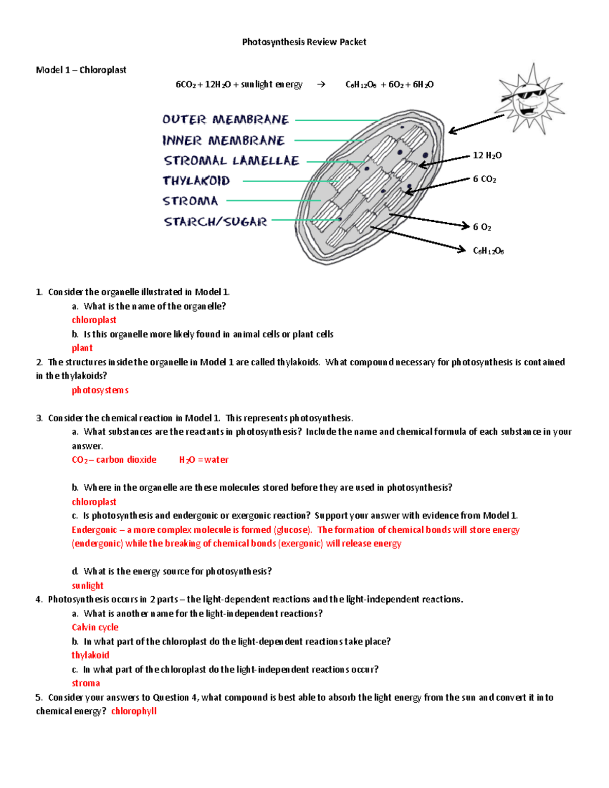 Photosynthesis Review Packet Key (Course Code: BIO 101) 2018 - Studocu