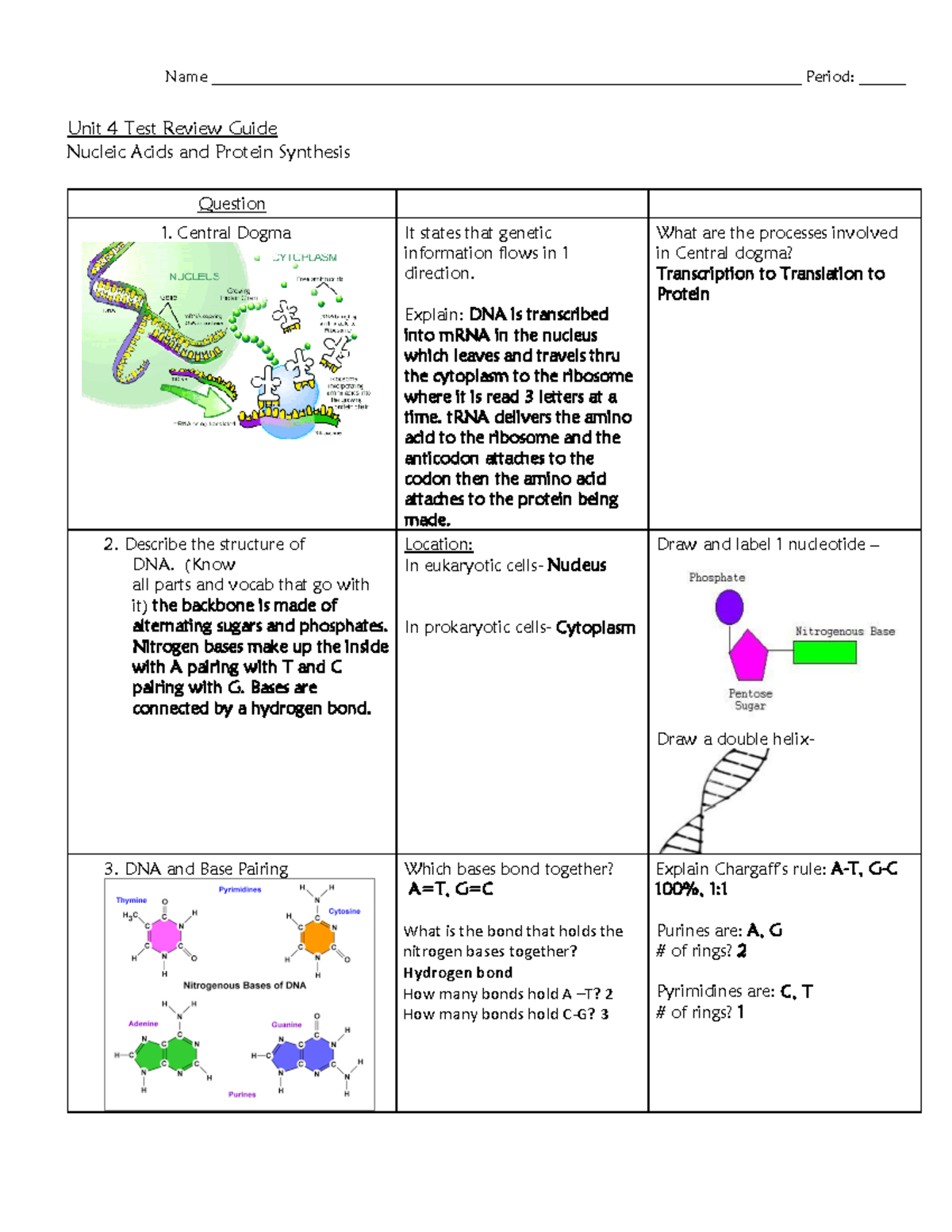 Unit 4 Test Review: Nucleic Acids & Protein Synthesis Guide - Studocu